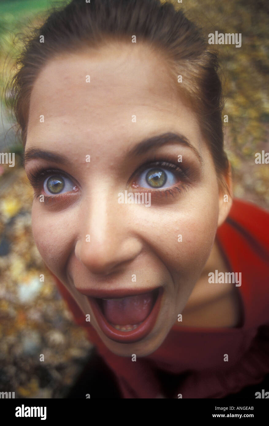 Overly hi-res stock photography and images - Alamy