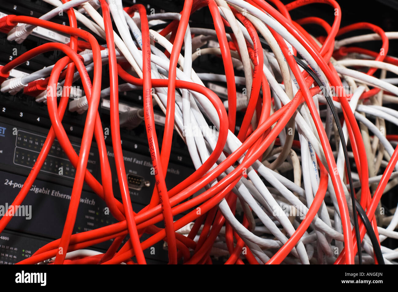 network switch and cables Stock Photo - Alamy