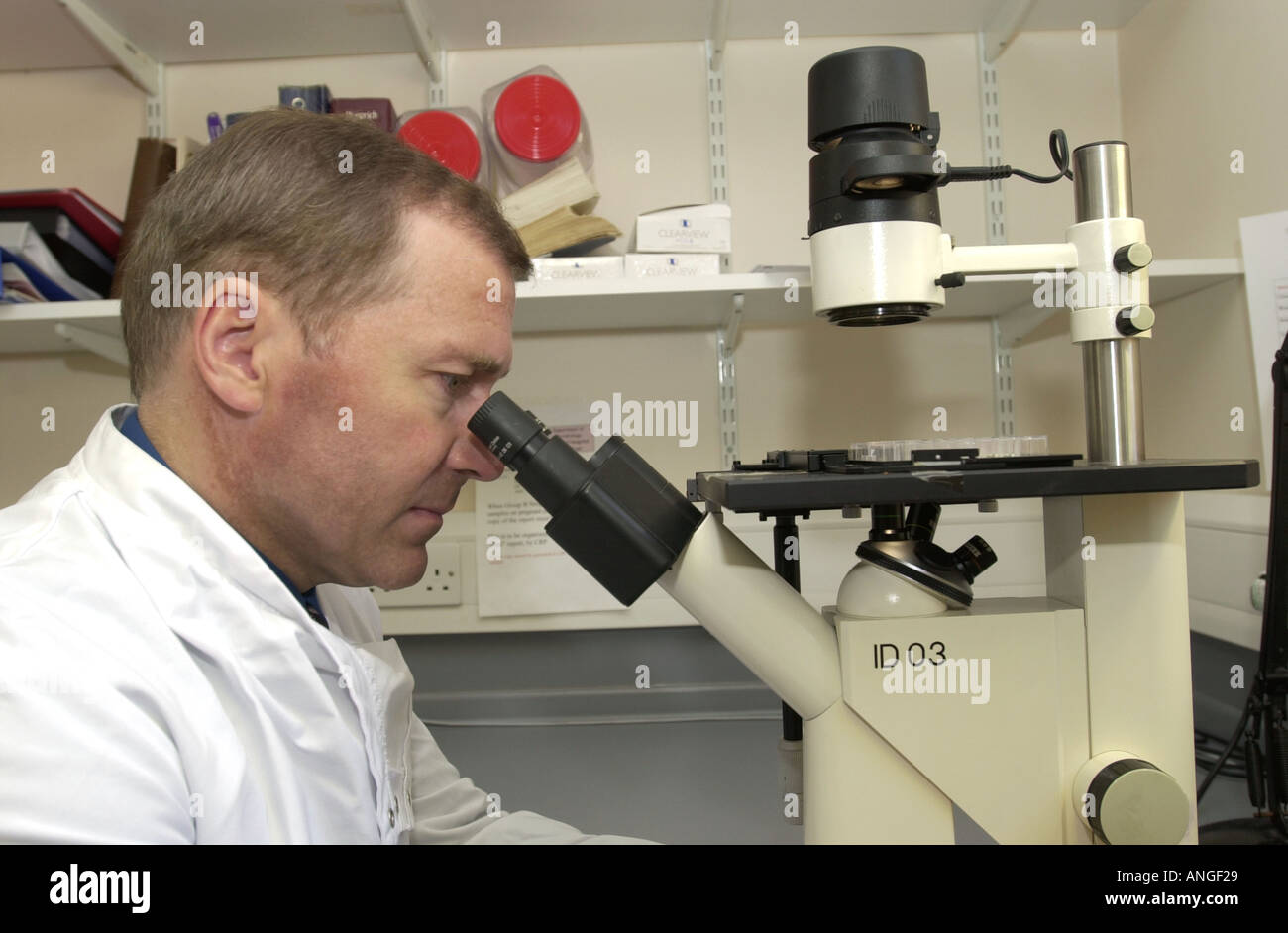 Mrsa microscope hi-res stock photography and images - Alamy