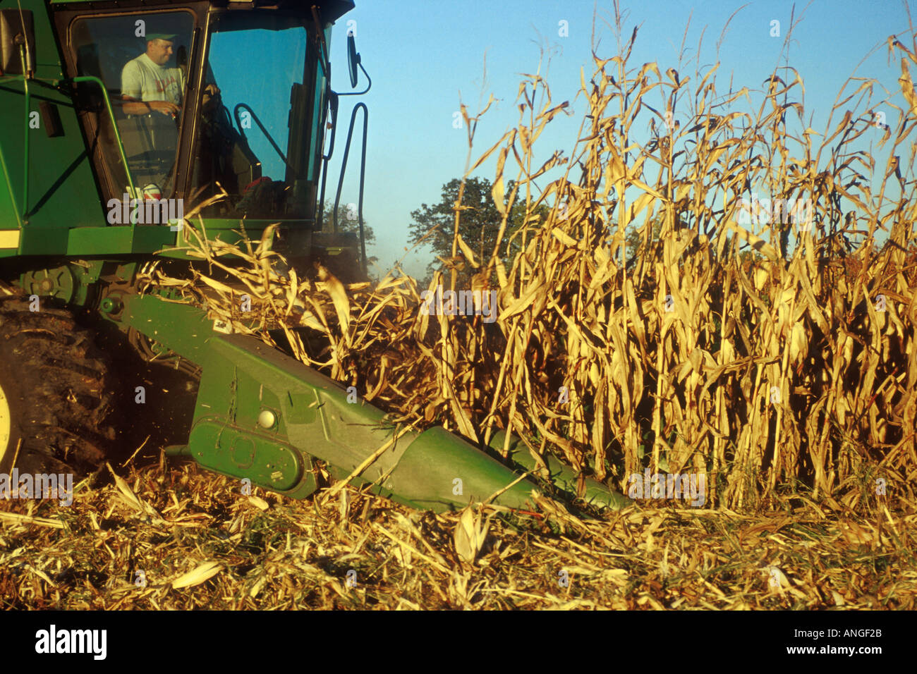 Corn Harvest Combine Stock Photo - Alamy