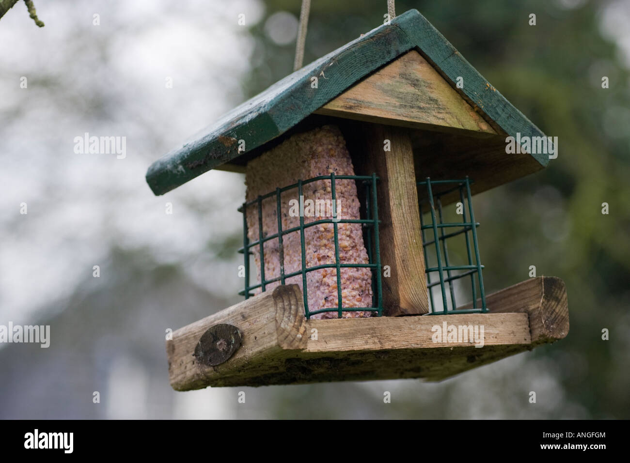 Feeder wooden suet block food birdseed hi-res stock photography and ...