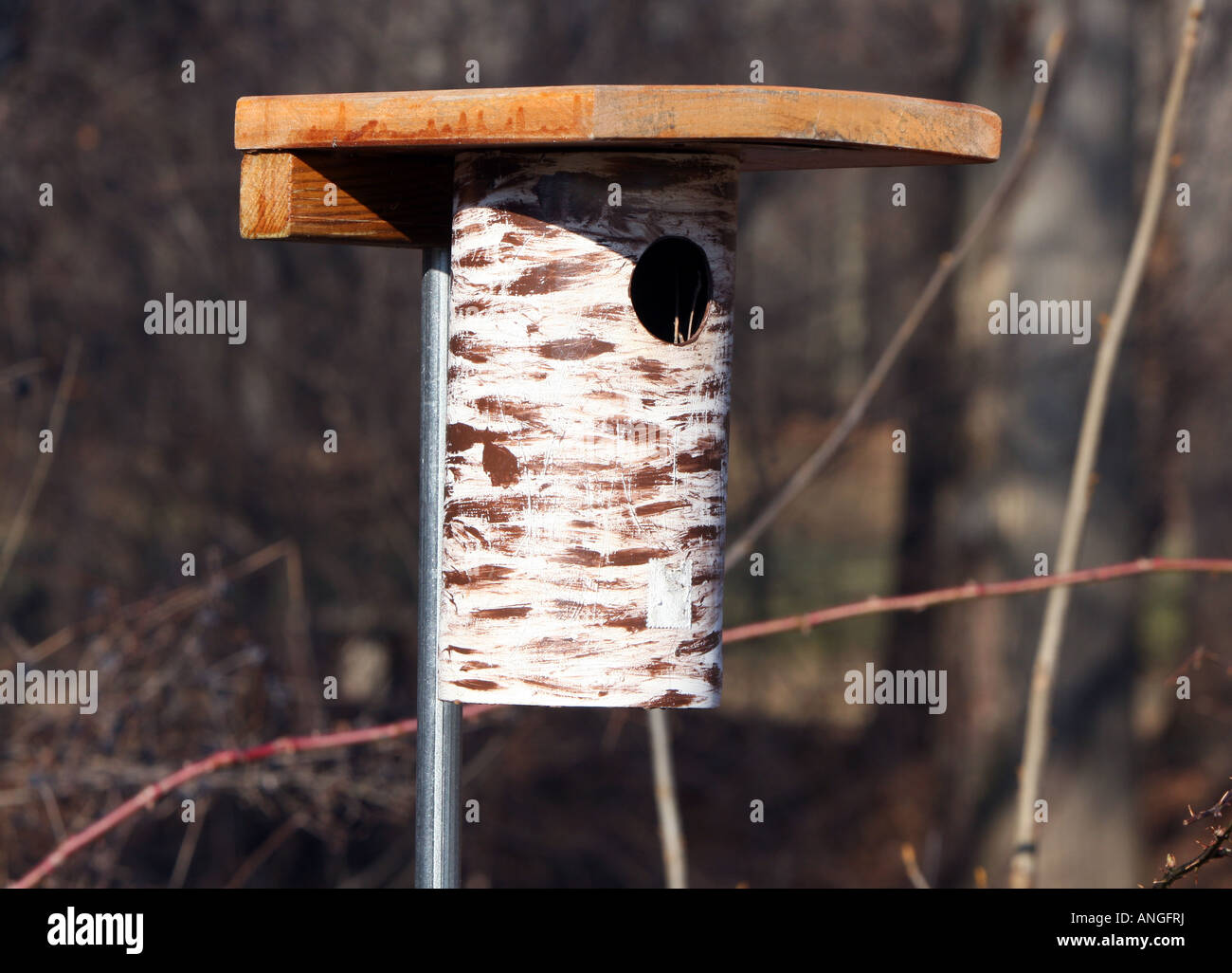 Bird hole hi-res stock photography and images - Alamy