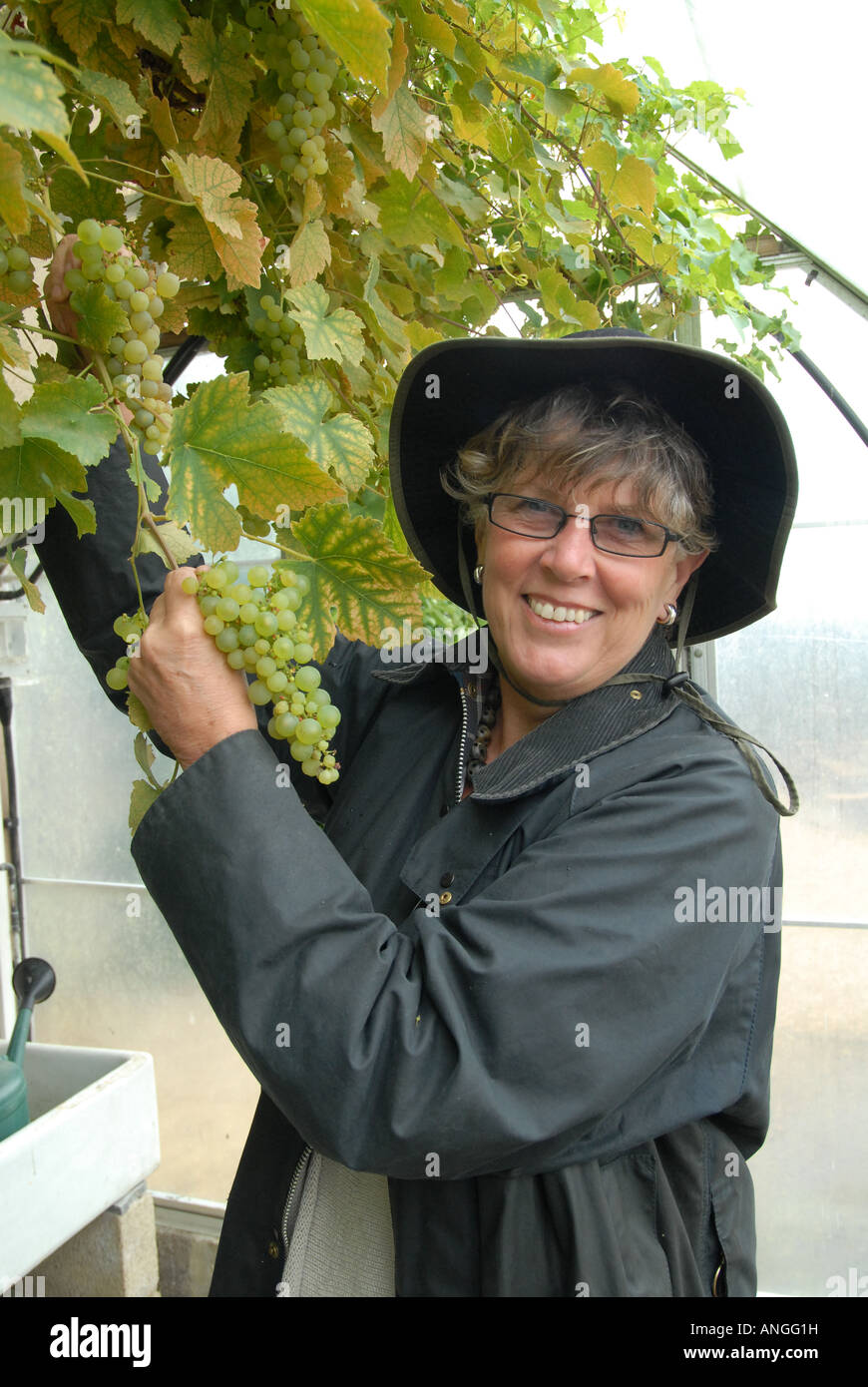 portrait of the well known cookery expert- Pru Leith Stock Photo - Alamy