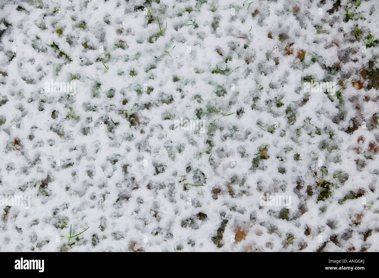 marks from snow melt dropping off the trees in melting snow Ambleside ...