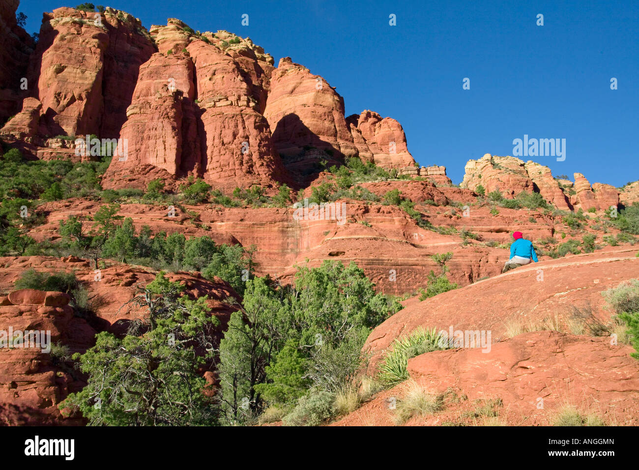 Visitors visitor people person hi-res stock photography and images - Alamy