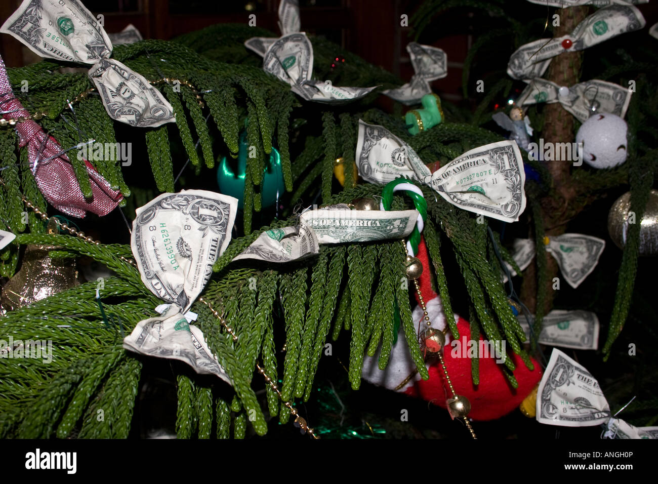 Dollar bills money tree hi-res stock photography and images - Alamy