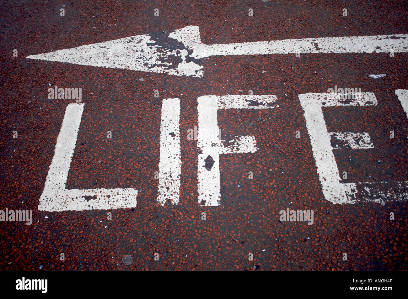 A life direction sign Stock Photo - Alamy