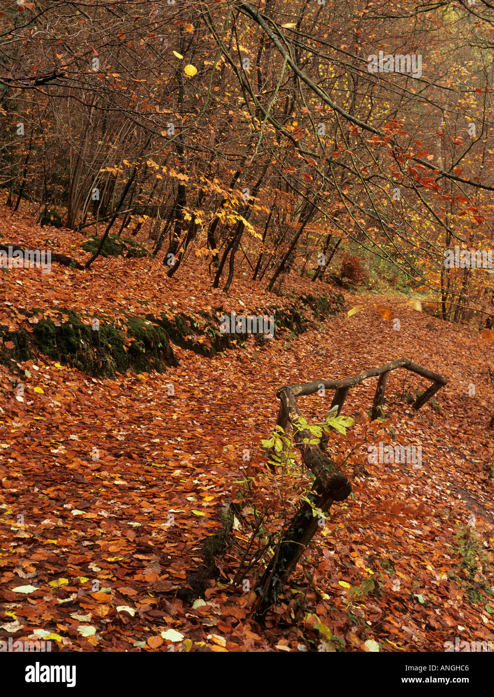 Waggoners walk hi-res stock photography and images - Alamy