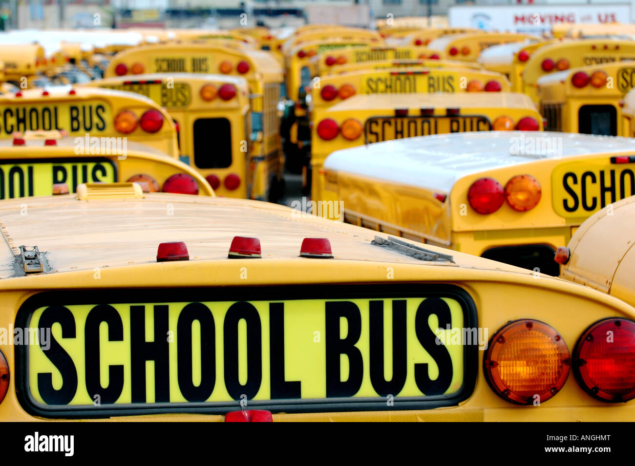 Yellow school buses High Resolution Stock Photography and Images - Alamy