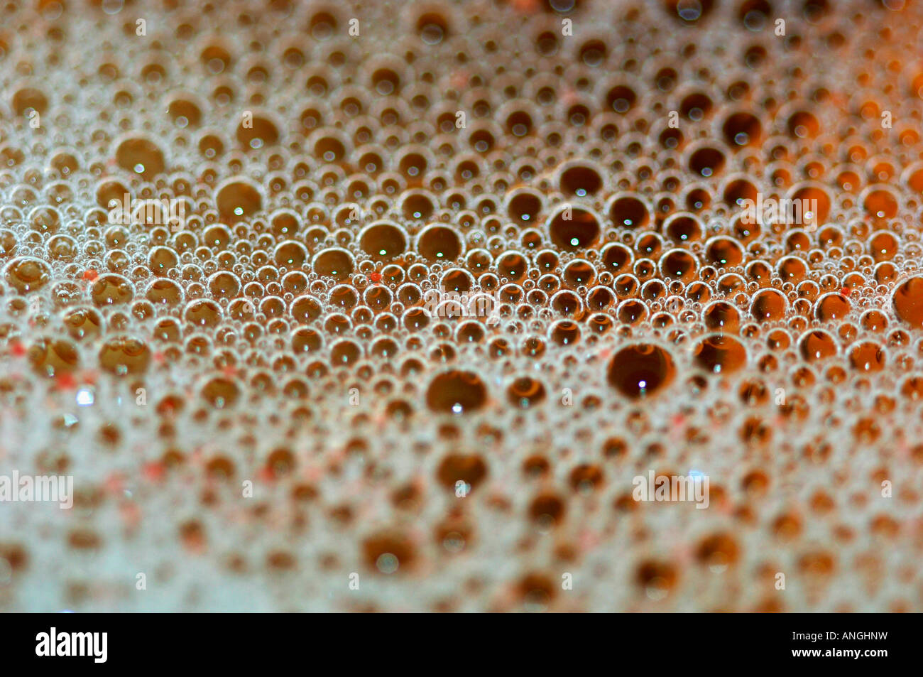 Soap Suds Background Stock Photos & Soap Suds Background Stock Images ...