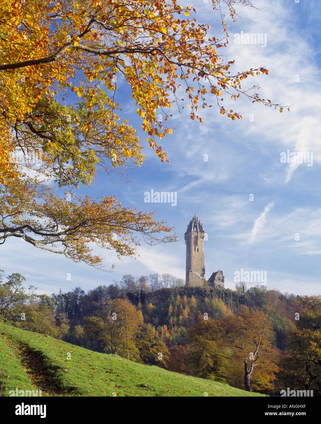 The National Wallace Monument on Abbey Craig, Stirling City, Scotland ...