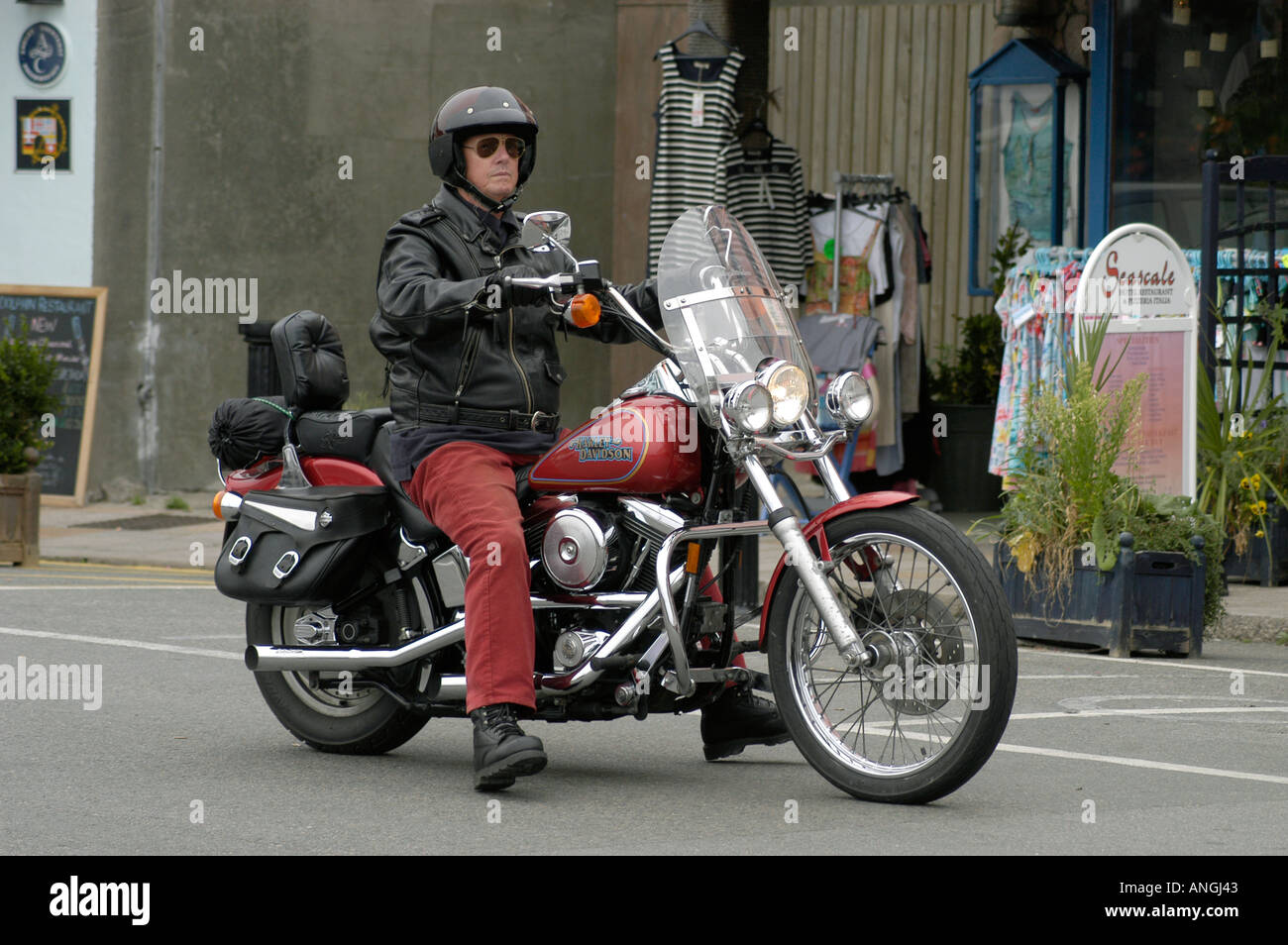man riding Harley Davidson motorcycle Stock Photo - Alamy