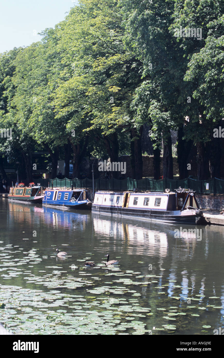 Barges, River Kennet, Reading, Berkshire, South England Stock Photo - Alamy