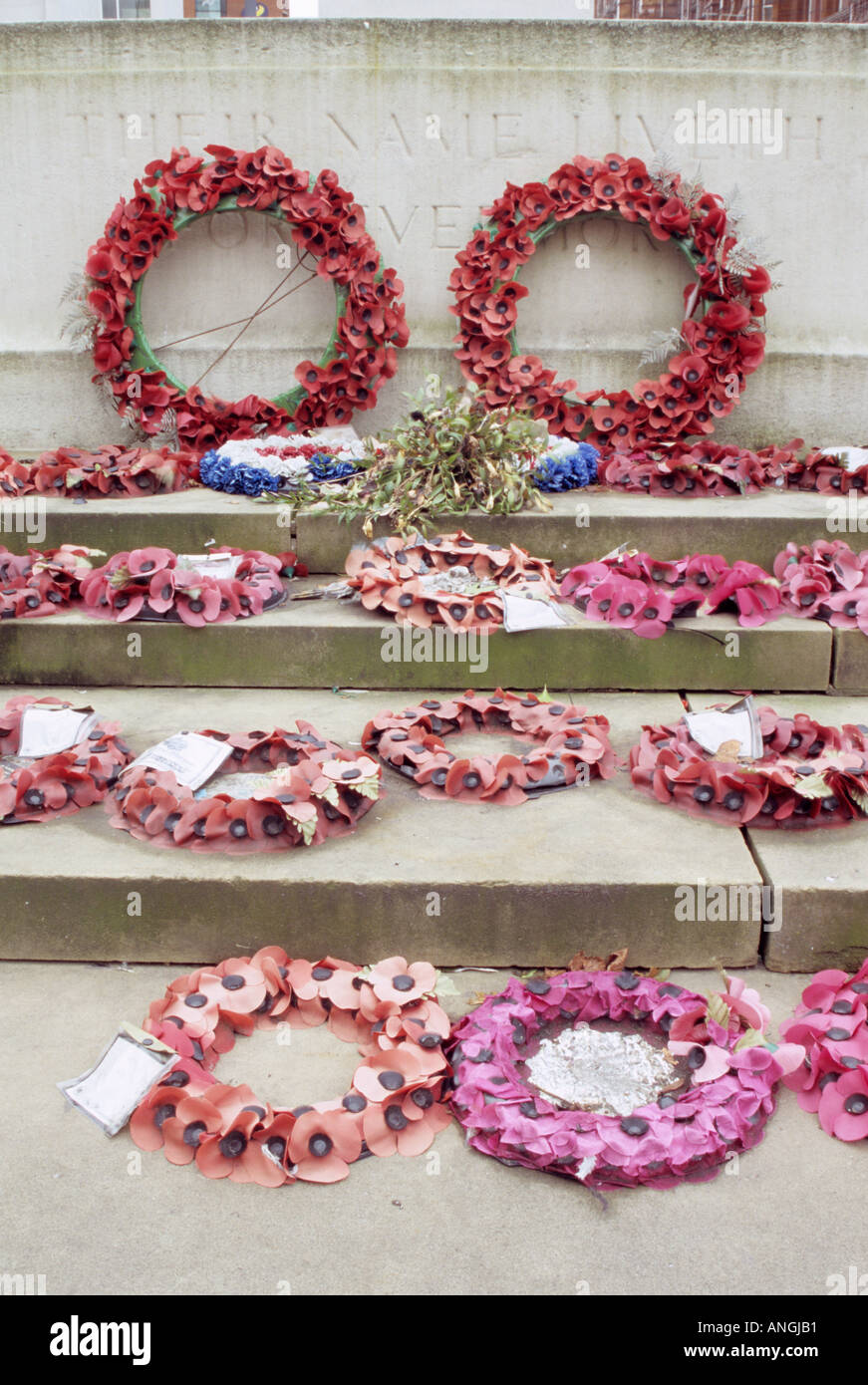 Poppy circle reef hi-res stock photography and images - Alamy