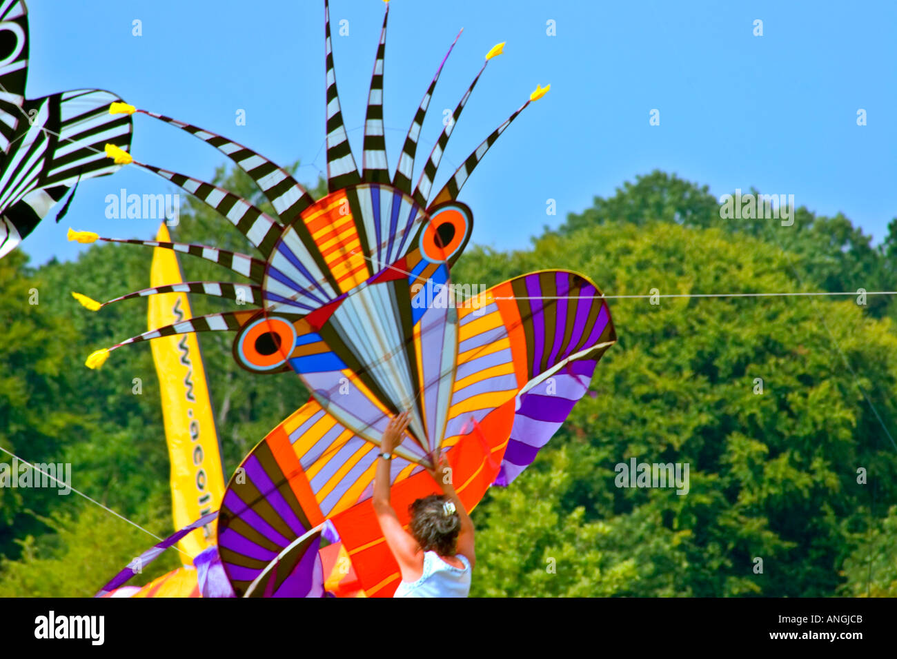 Bristol international kite festival hi-res stock photography and images ...