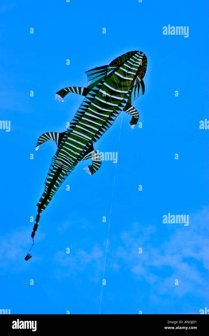 Bristol international kite festival hi-res stock photography and images ...