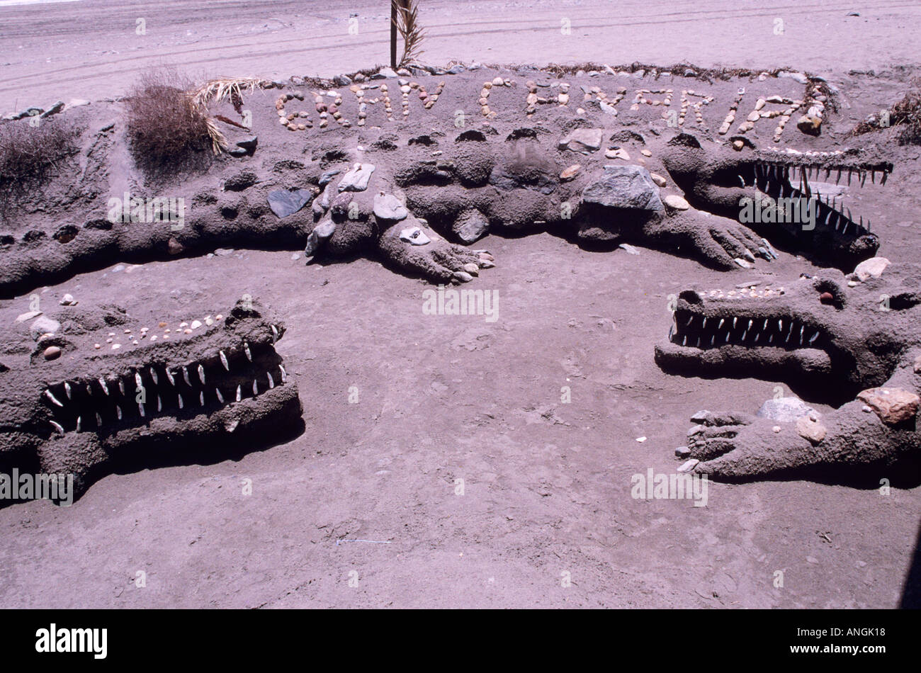 Crocodile Sand Sculptures, beach, Playa del Ingles, Gran Canaria Island ...