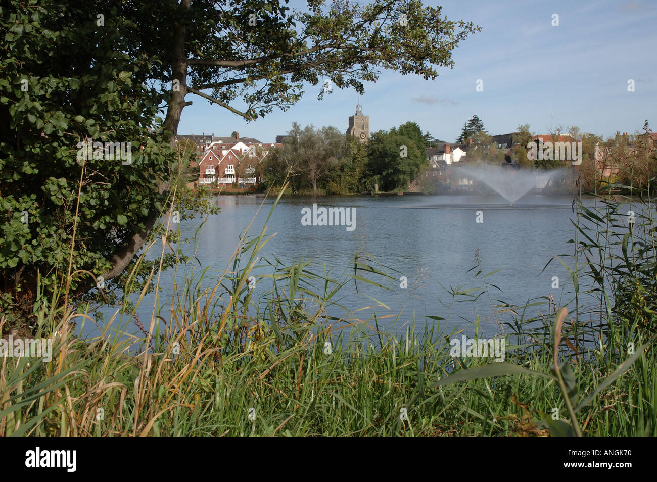 Mere in diss norfolk uk hi-res stock photography and images - Alamy