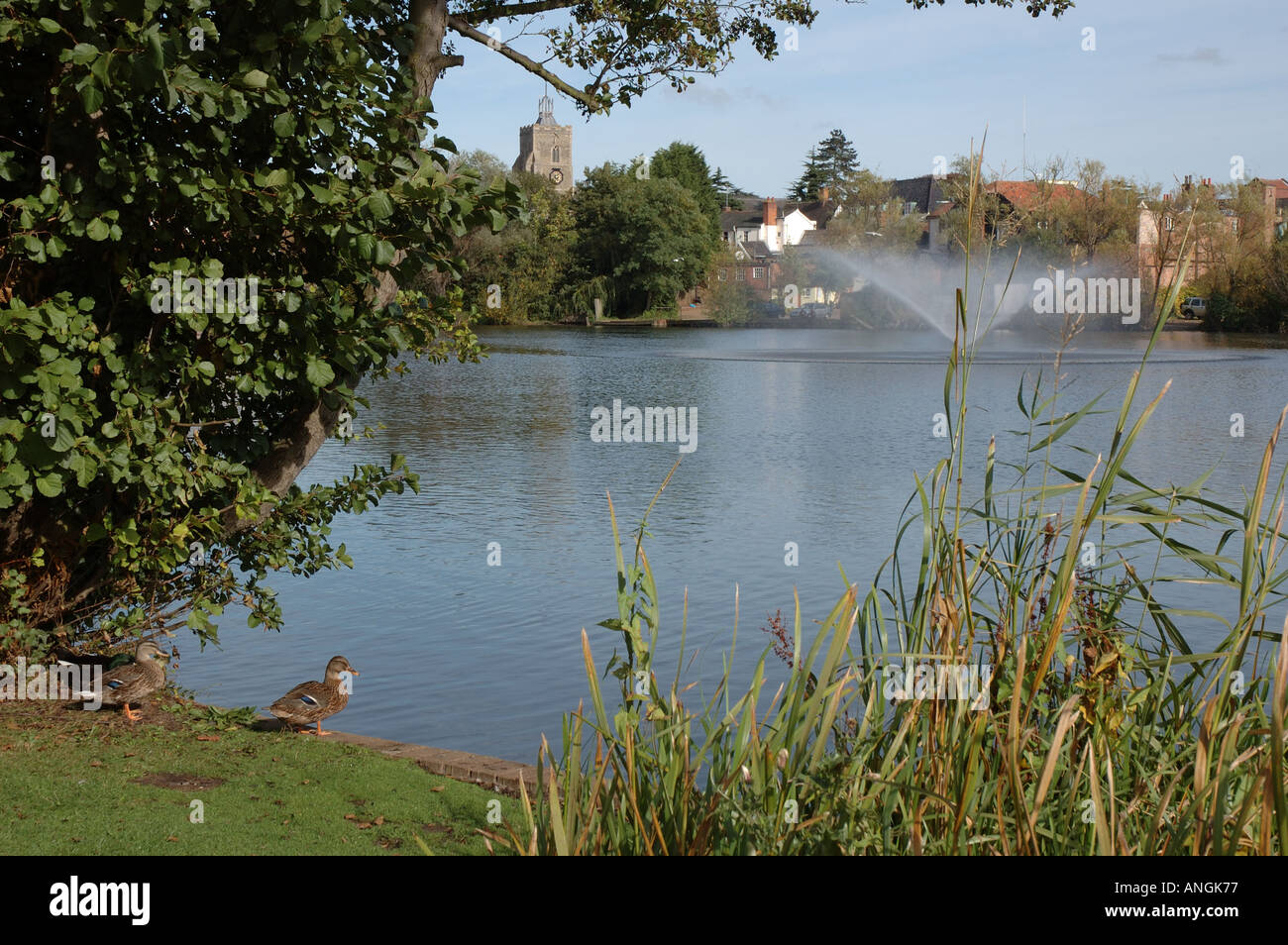Diss mere in norfolk hi-res stock photography and images - Alamy