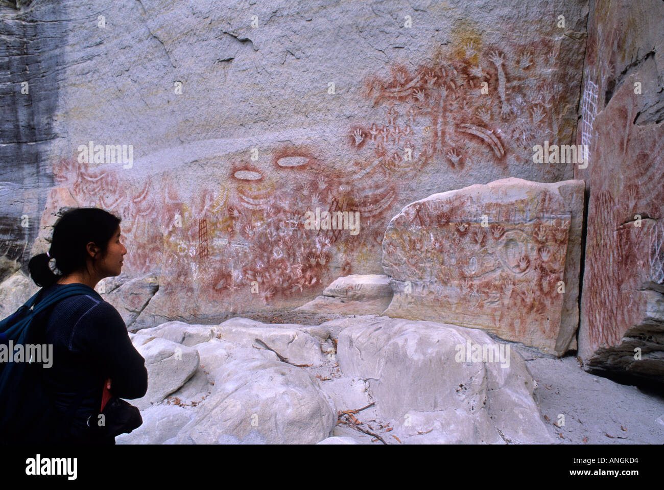 Aboriginal australia and totem hi-res stock photography and images - Alamy