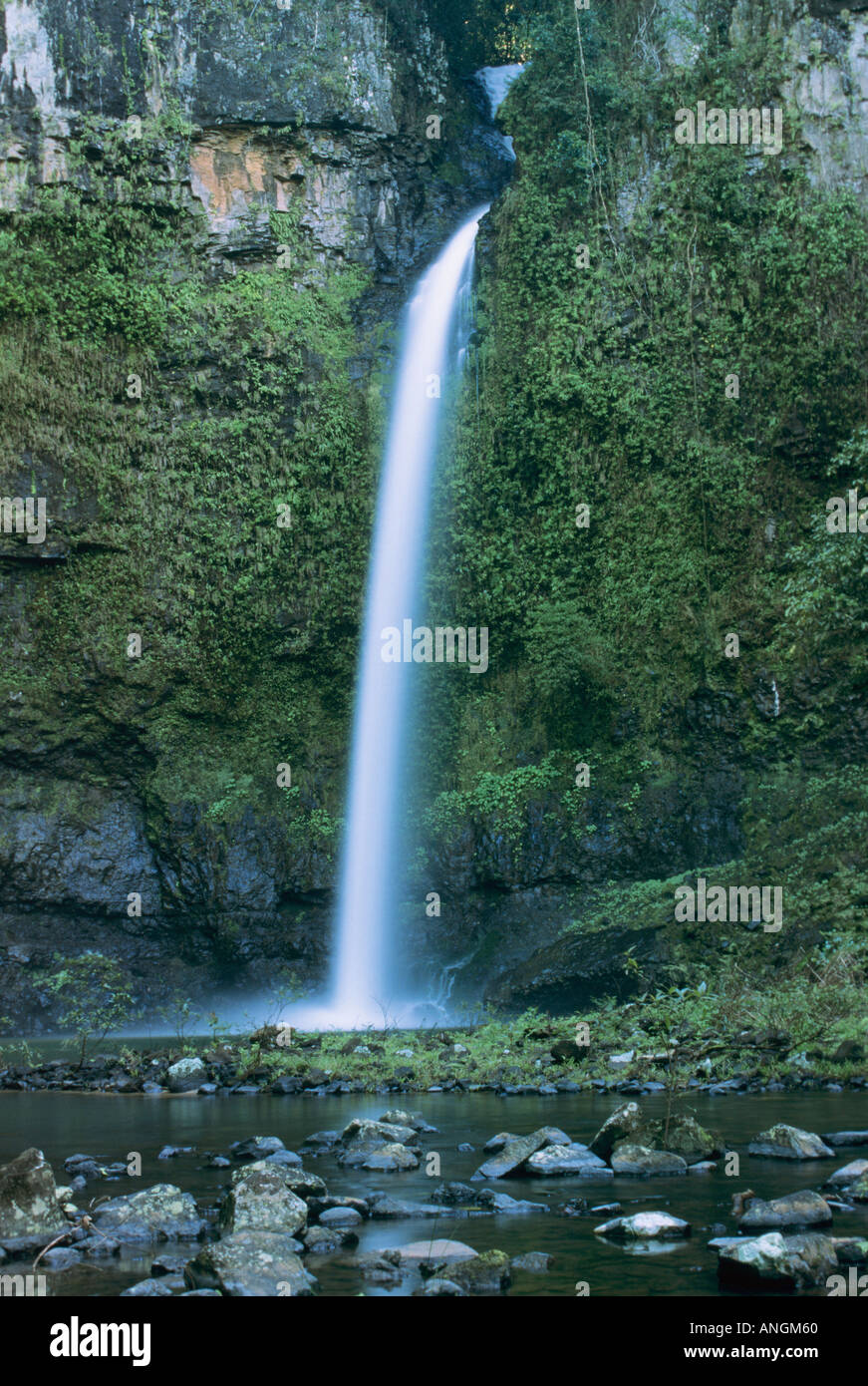 Nandroya Waterfall, Henrietta Creek, Wooroonooran National Park ...
