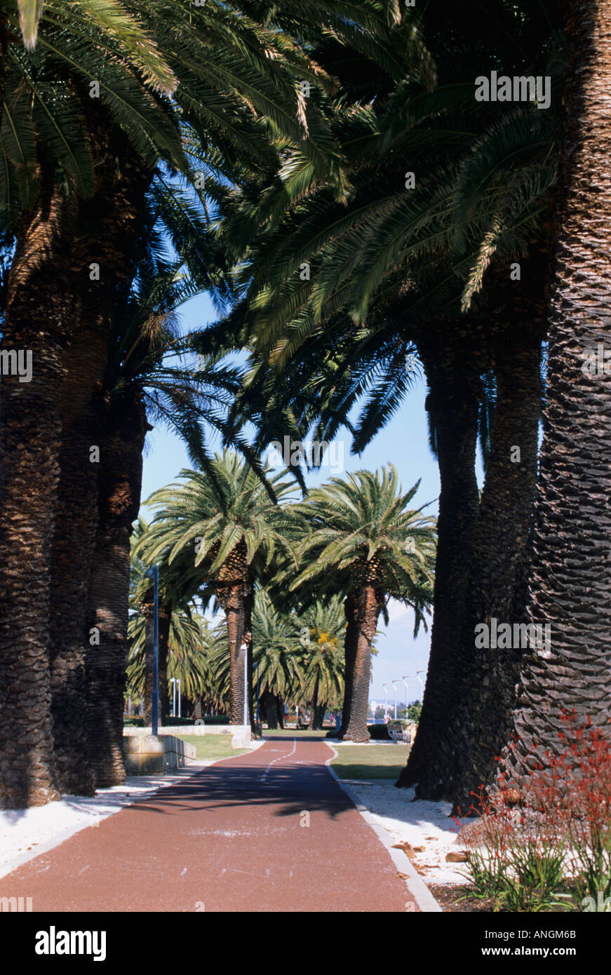 Australian lined perth hi-res stock photography and images - Alamy