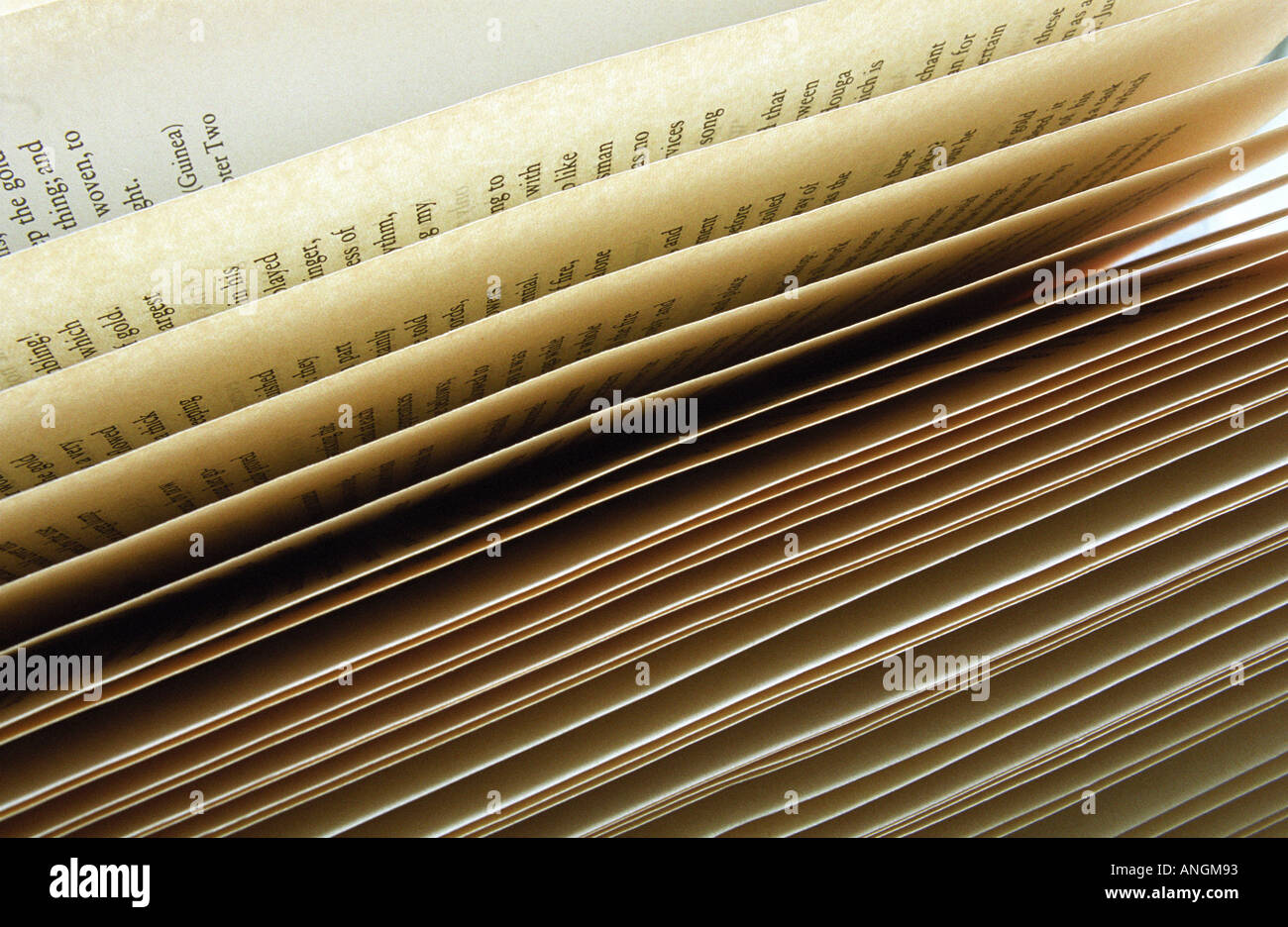 paper back with it s pages falling open Stock Photo - Alamy