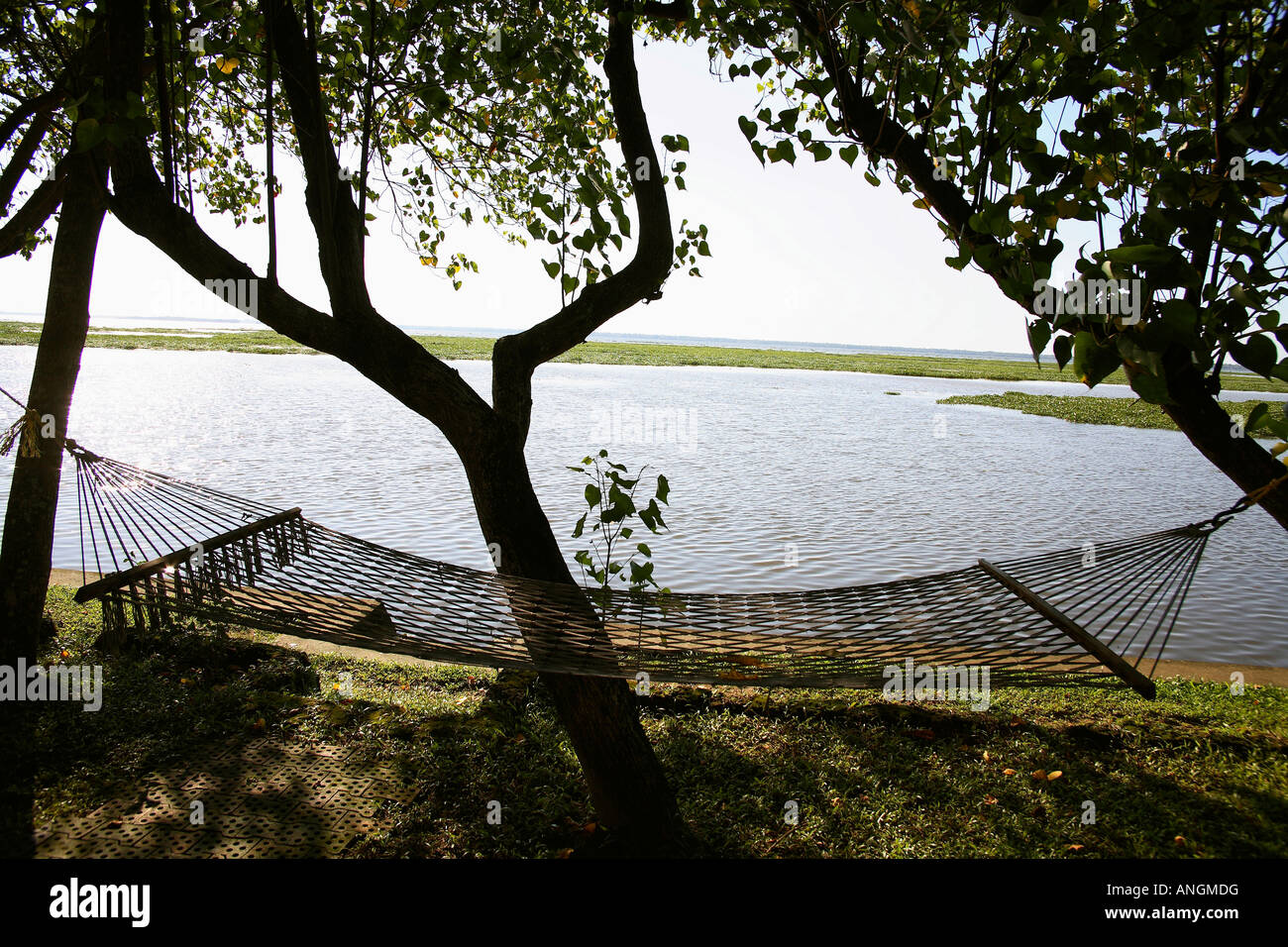 A Place for Relaxation, Hamock Stock Photo - Alamy