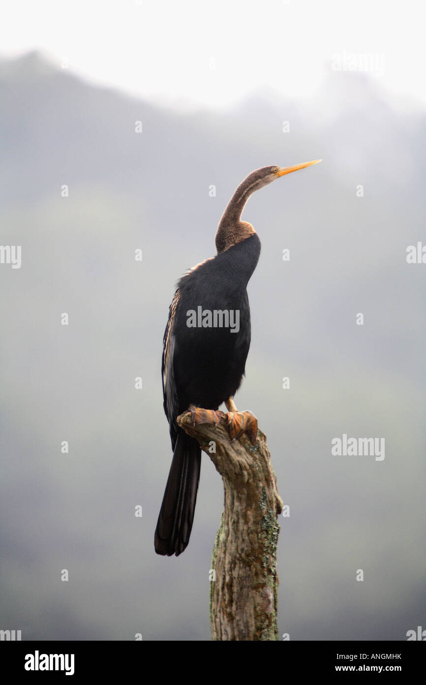 Cannal hi-res stock photography and images - Alamy