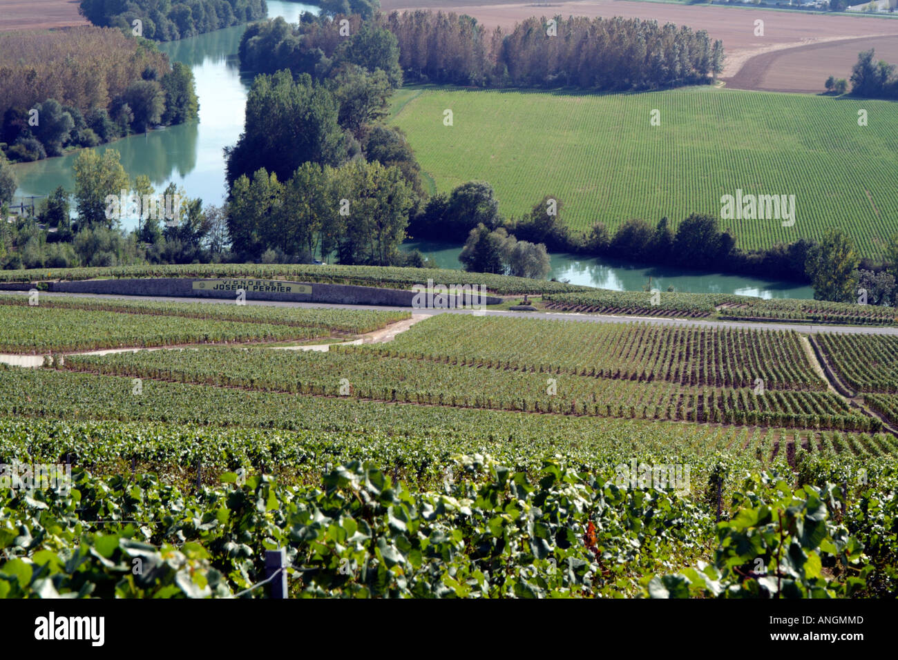 France french viniculture vineyards river marne region hi-res stock ...