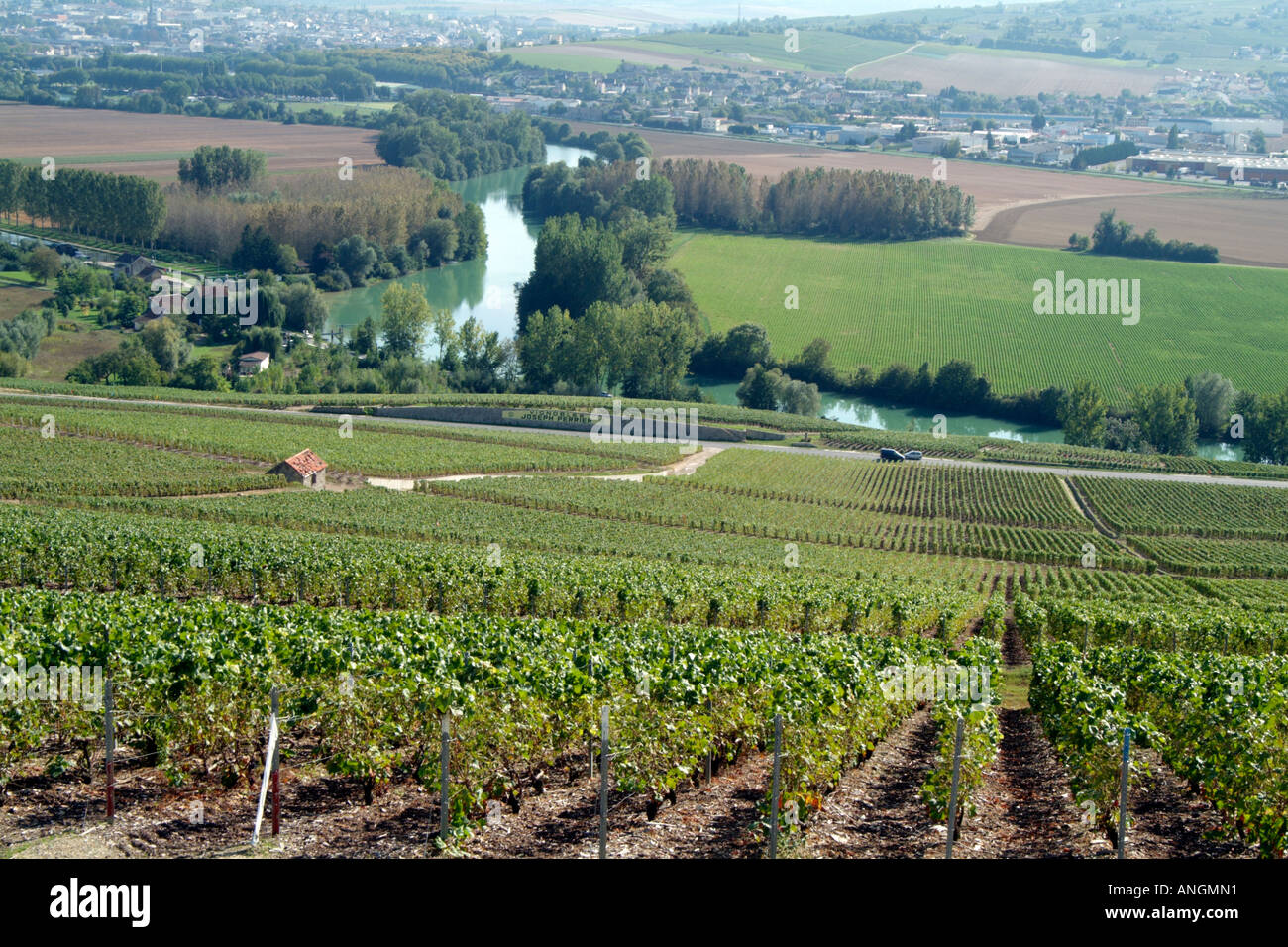The Marne Valley in the Champagne producing region of France Europe EU ...