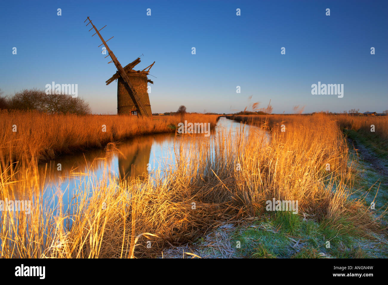 Brograve Mill near Horsey on frosty winter morning in the Norfolk ...