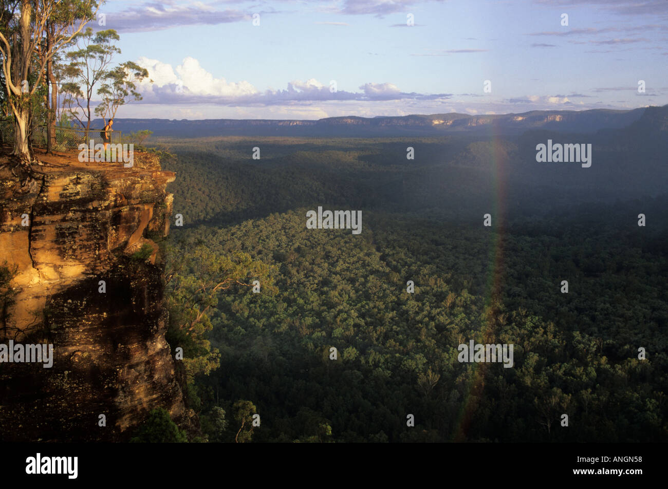 Carnarvon National Park Queensland Australia Stock Photo - Alamy