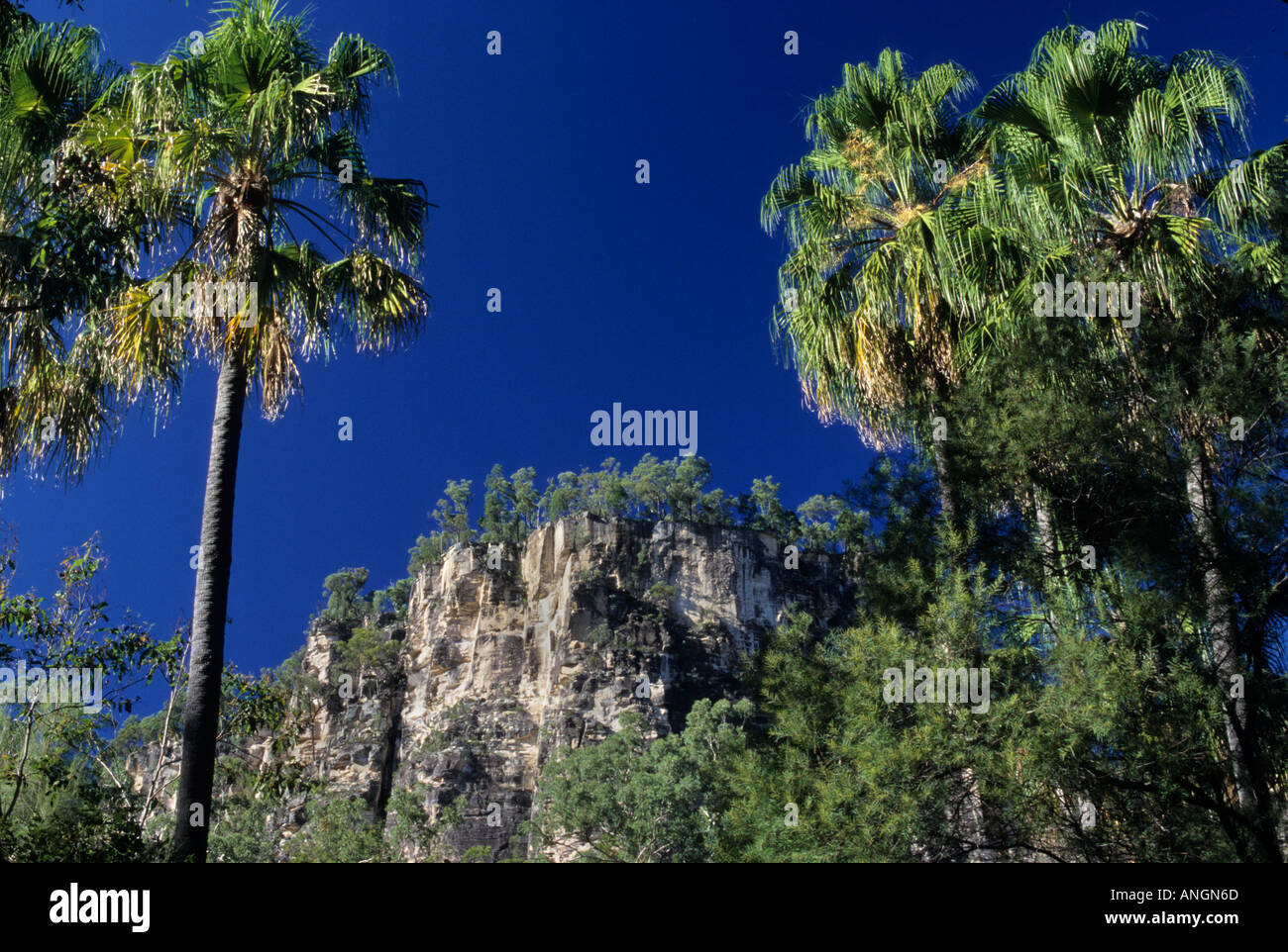 Carnarvon National Park Queensland Australia Stock Photo - Alamy