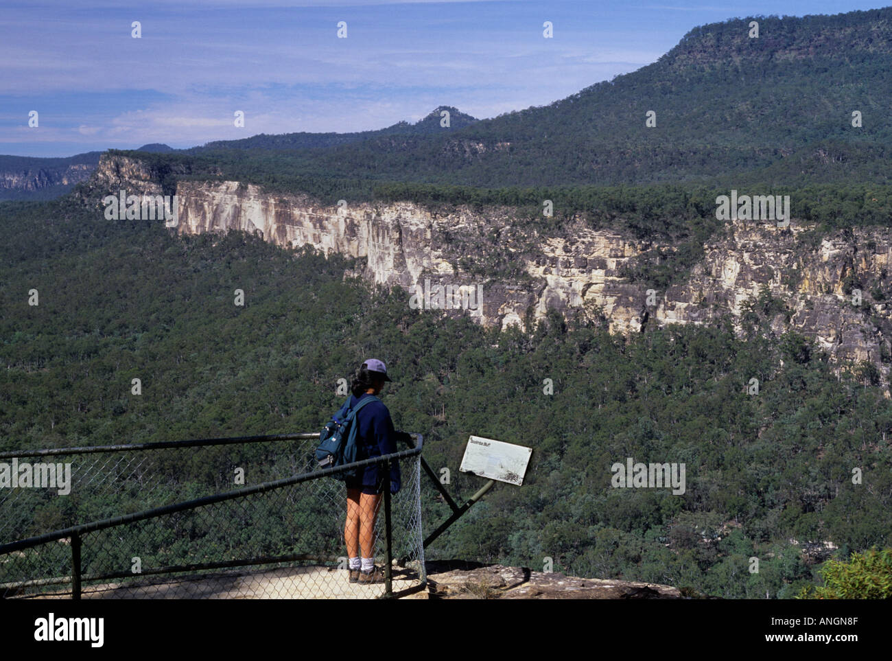 Carnarvon National Park Queensland Australia Stock Photo - Alamy
