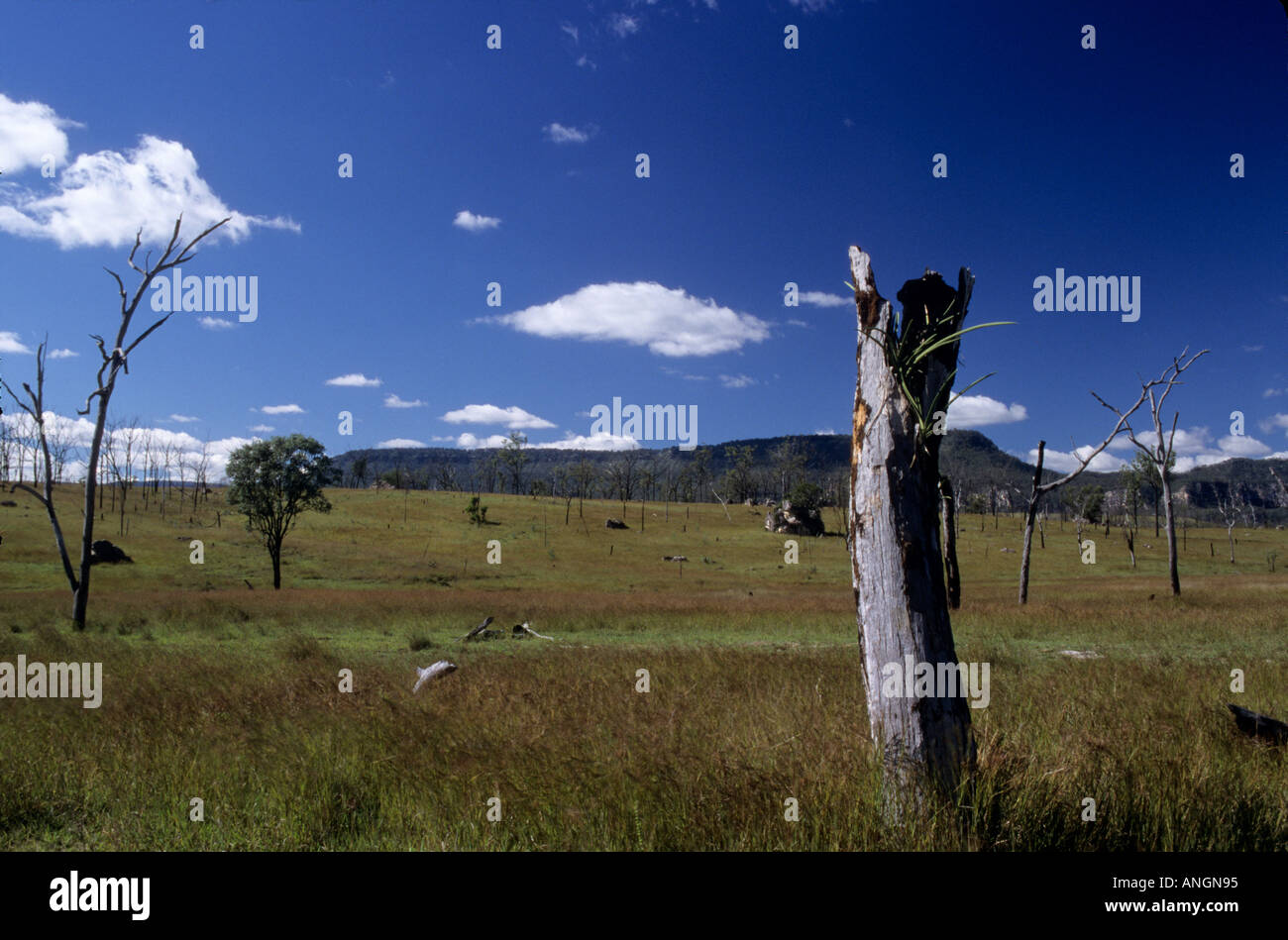 Carnarvon National Park Queensland Australia Stock Photo - Alamy