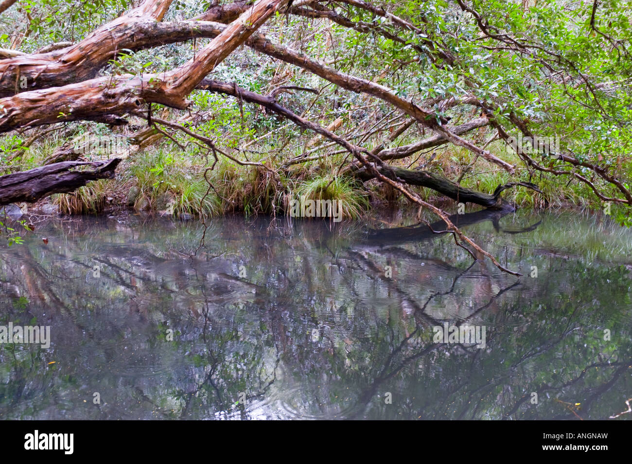 Drak river hi-res stock photography and images - Alamy
