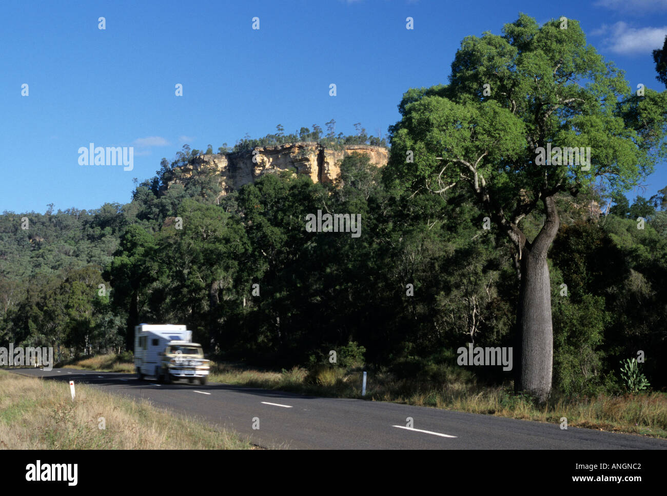 Carnarvon National Park Queensland Australia Stock Photo - Alamy