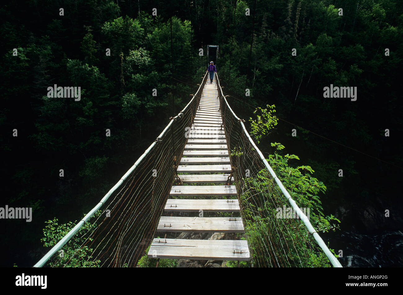 Suspension bridge over White River, Pukaskwa National Park, Ontario ...