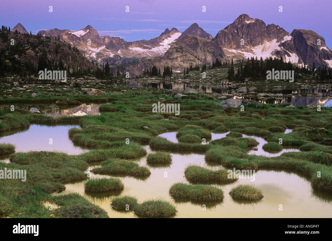 Gwillim Lakes, Valhalla Provincial Park, British Columbia, Canada Stock ...