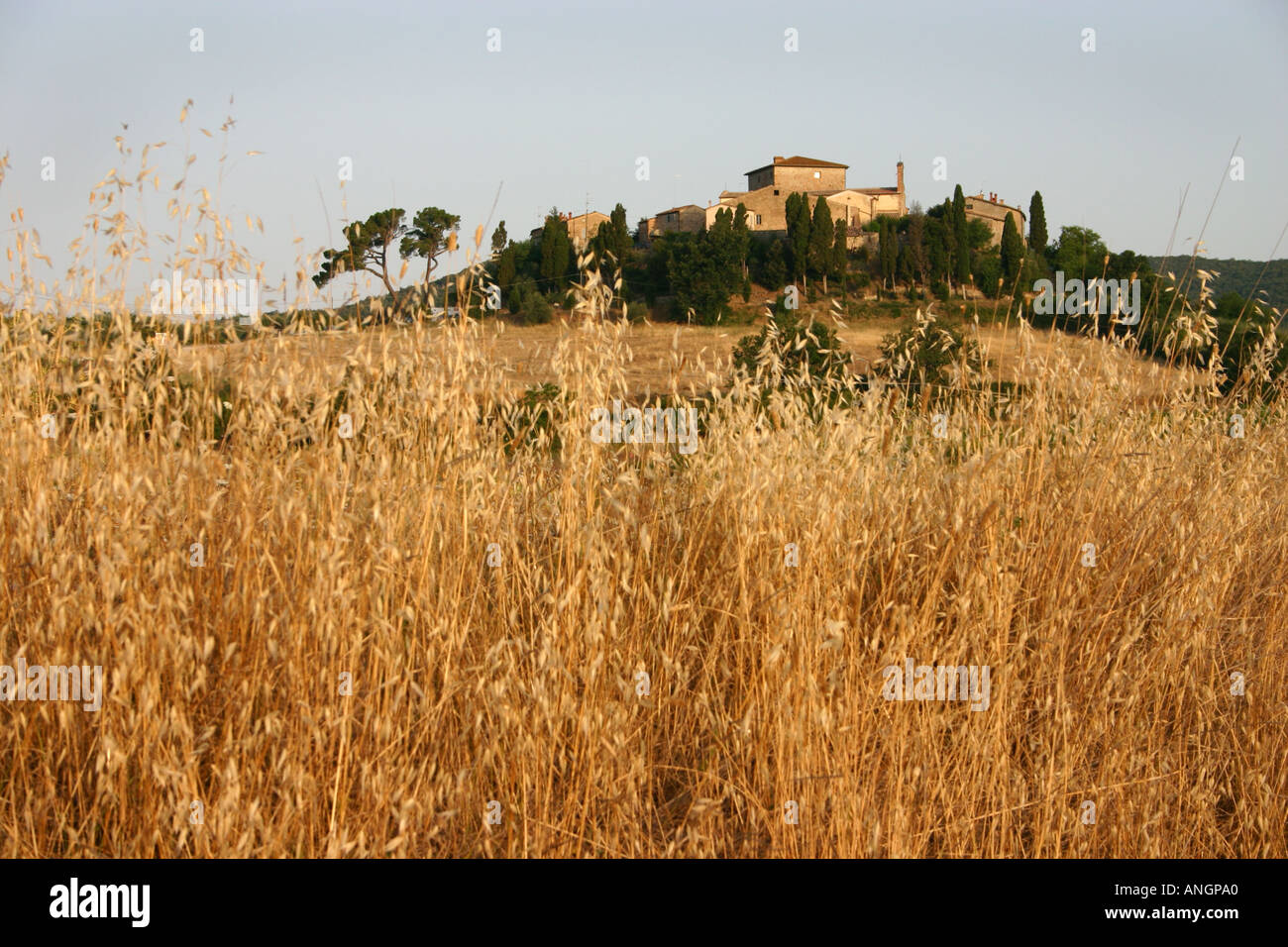 The hill town of Murlo, Tuscany Stock Photo - Alamy