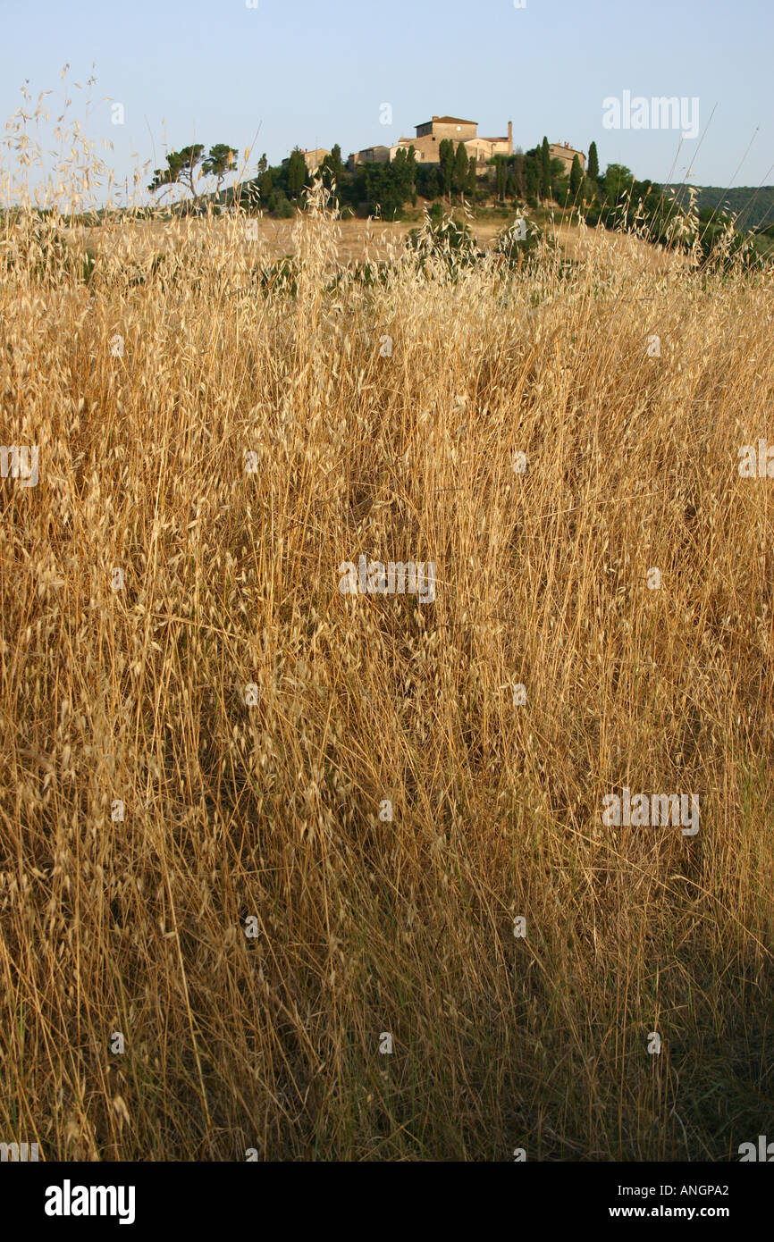 Murlo italy hi-res stock photography and images - Alamy