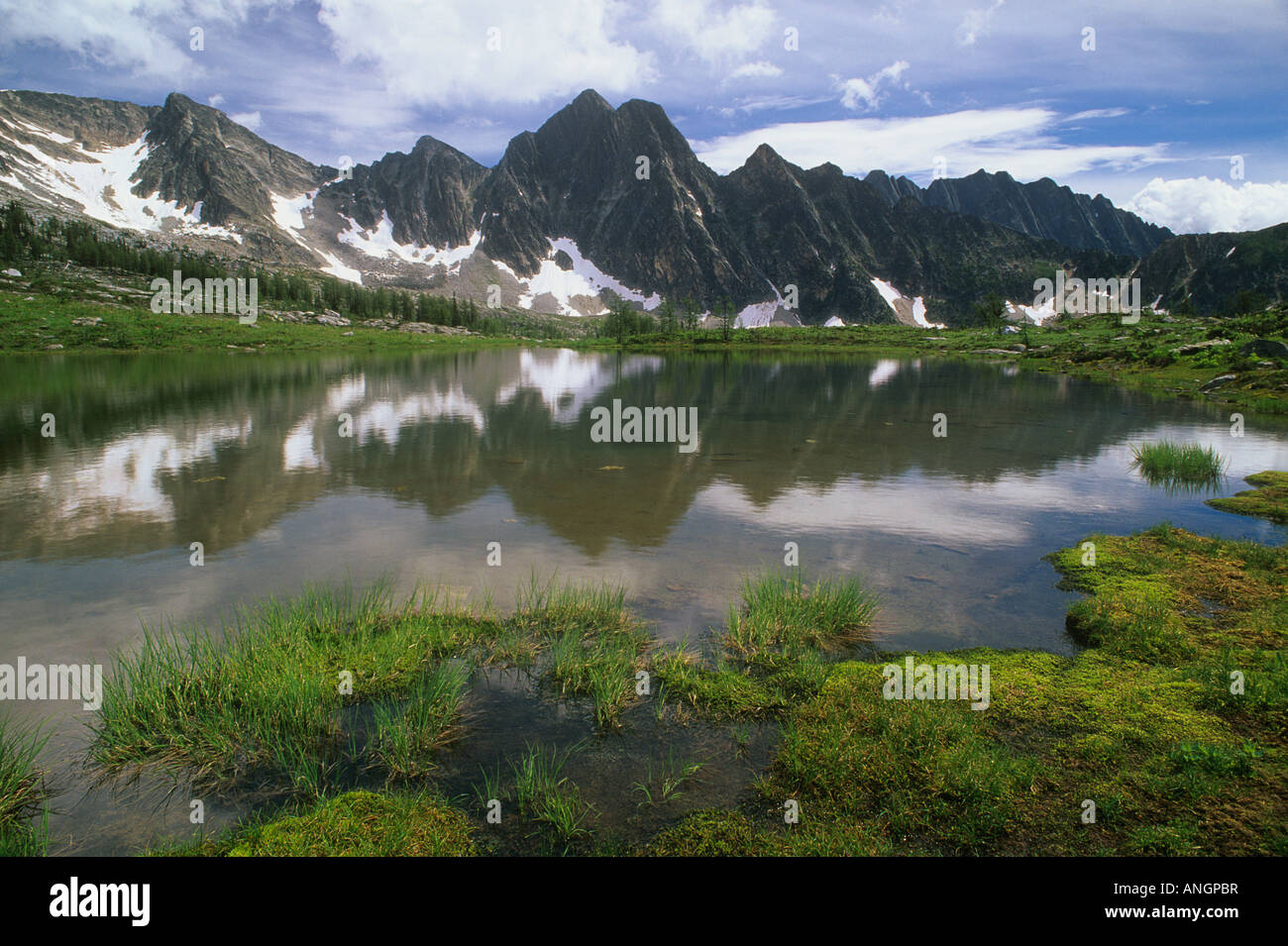 Monica meadows, Purcell Mountains, British Columbia, Canada Stock Photo ...