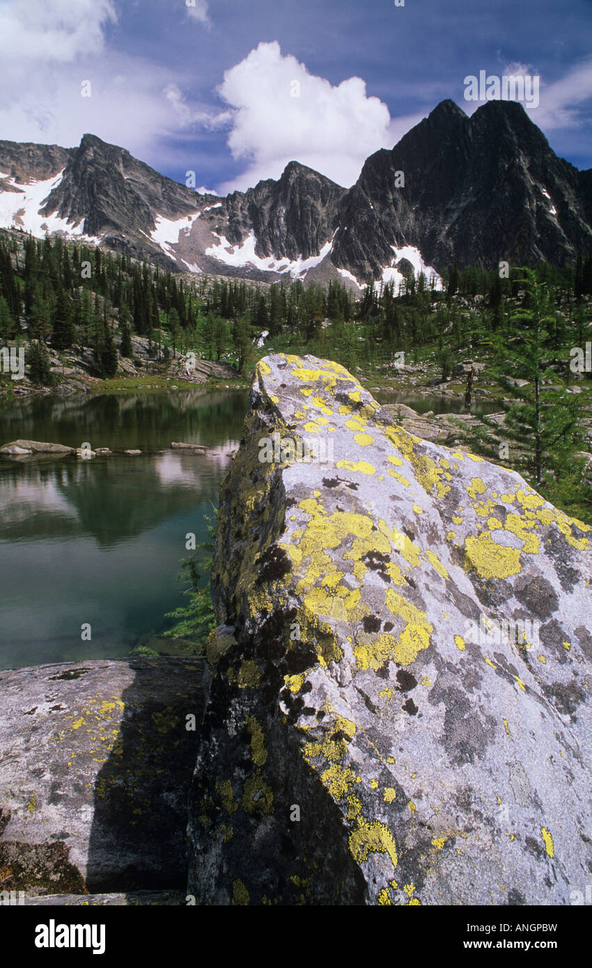 Monica meadows, Purcell Mountains, British Columbia, Canada Stock Photo ...