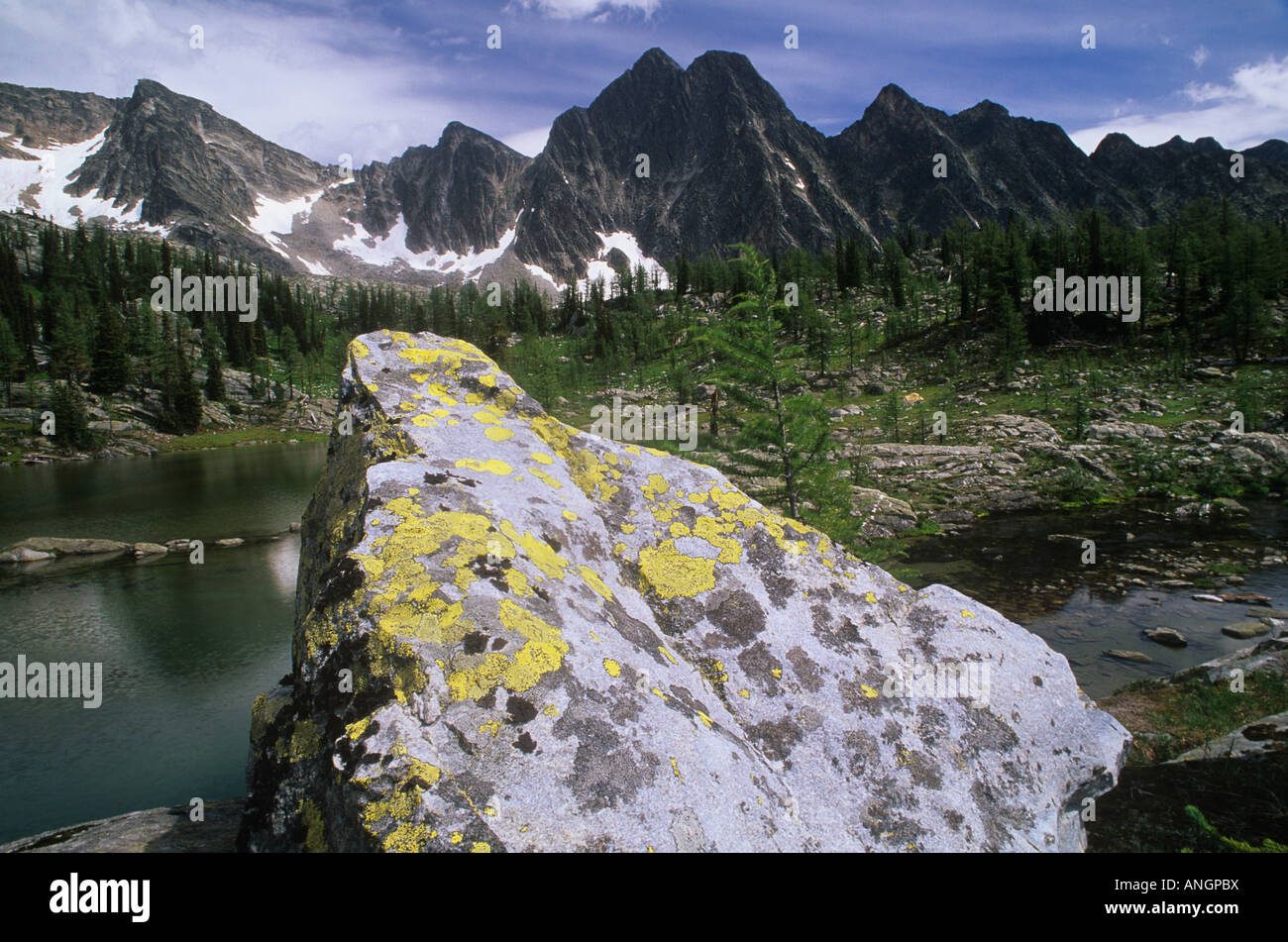 Monica meadows, Purcell Mountains, British Columbia, Canada Stock Photo ...