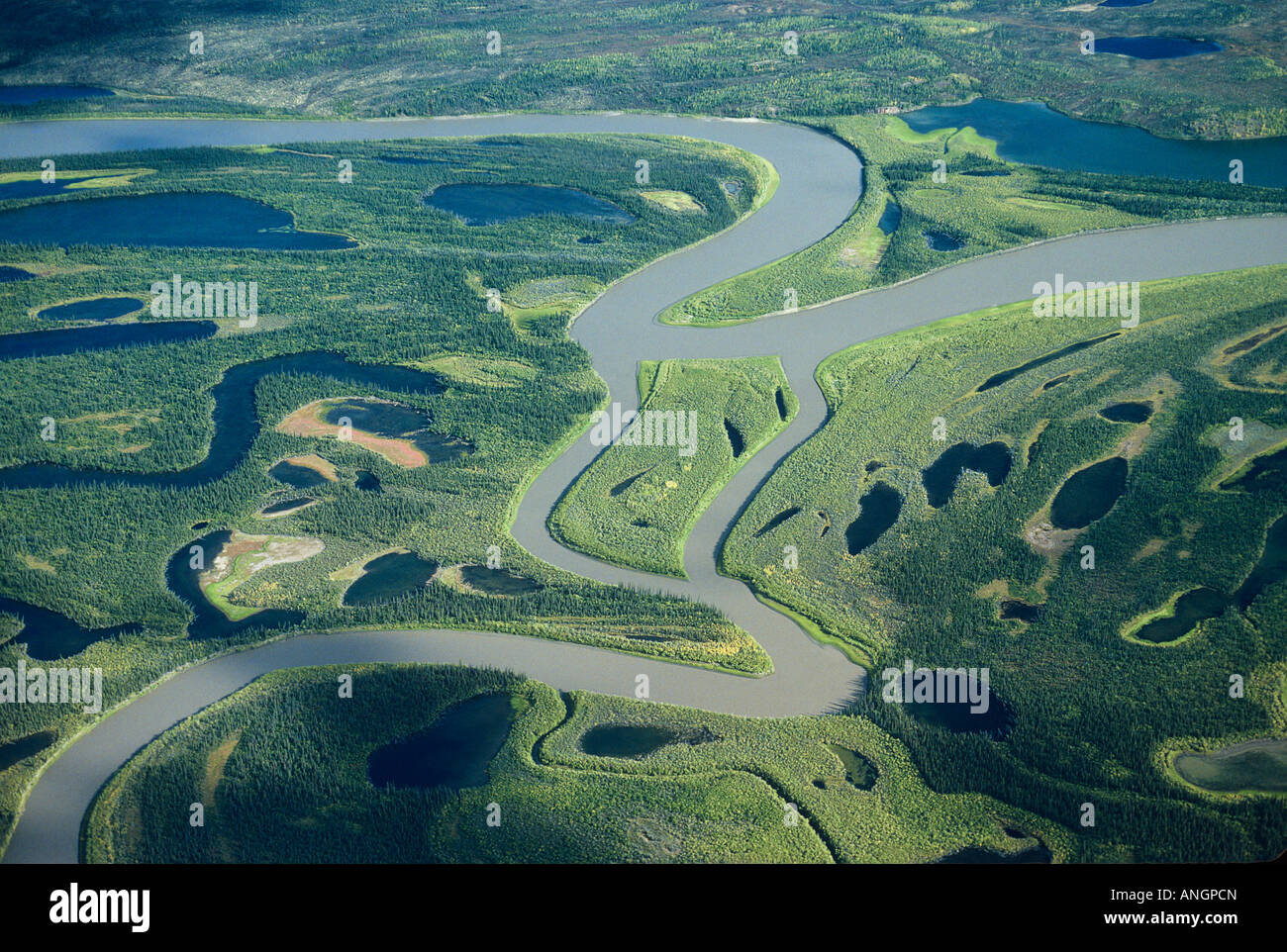 Mackenzie river delta canada hi-res stock photography and images - Alamy