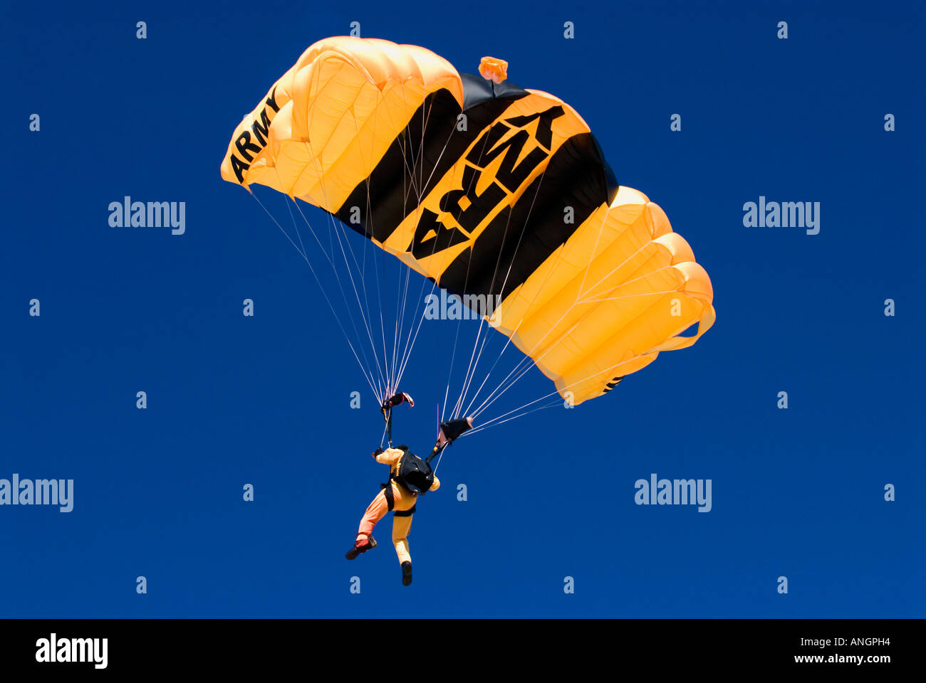 Golden knight parachute team hi-res stock photography and images - Alamy