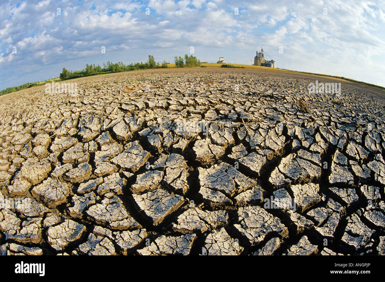 Dry Farmland