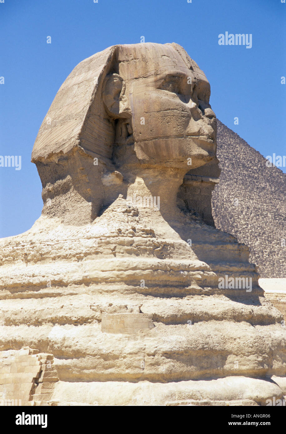 Ancient Sphinx Of Giza