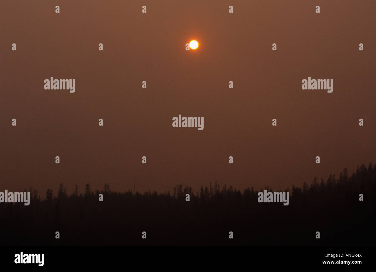 Sun creates unearthly scene because of smoke from forest fires, Glacier ...